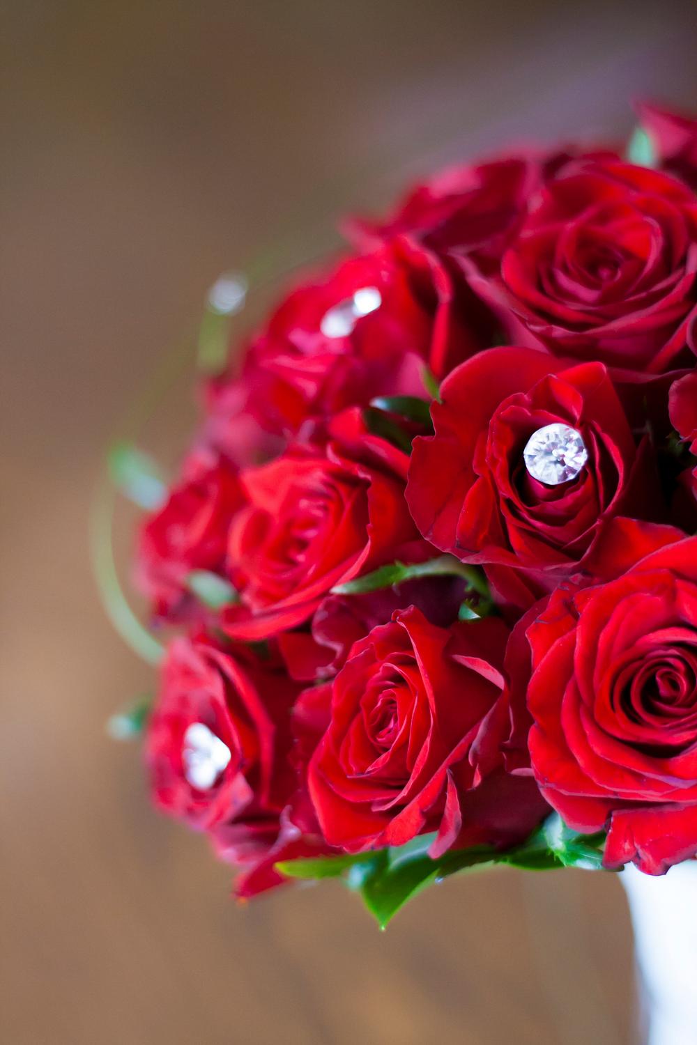 Closeup Of A Red Rose In The Dark Free Stock Photo 488362 closeup-of-a-red-rose-in-the-dark-free-stock-photo-488362