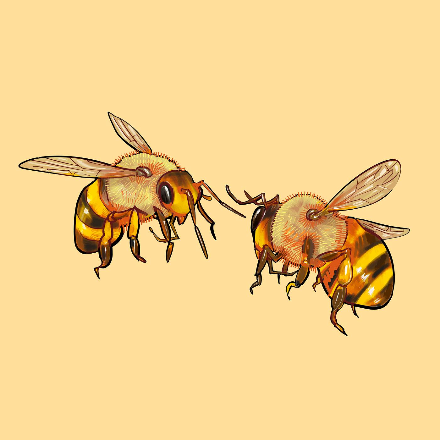 Hand Drawn Bees Free Stock Illustration 400742