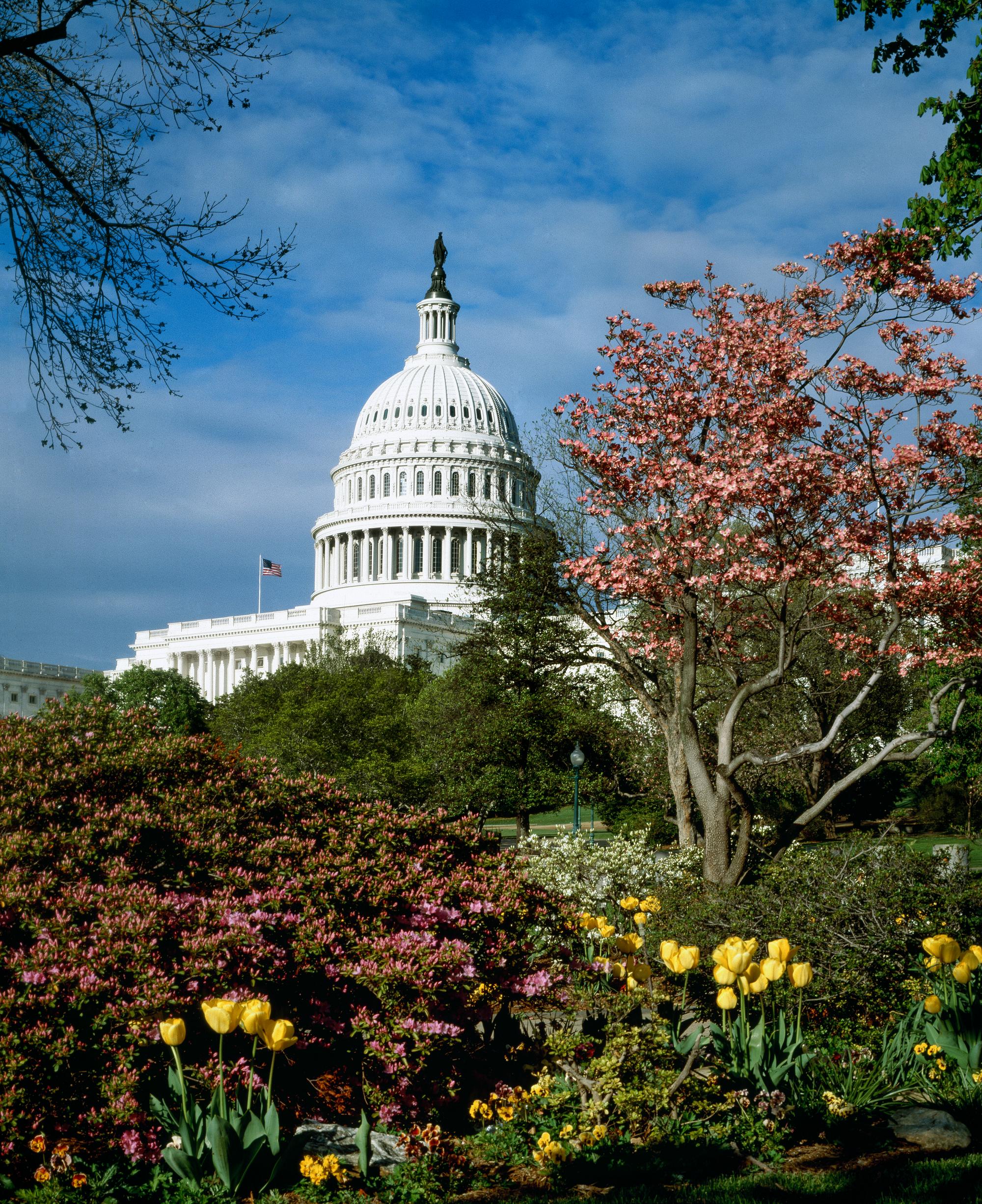 U S Capitol Dome Original Image From Carol M Highsmith s Amer u-s-capitol-dome-original-image-from-carol-m-highsmith-s-amer