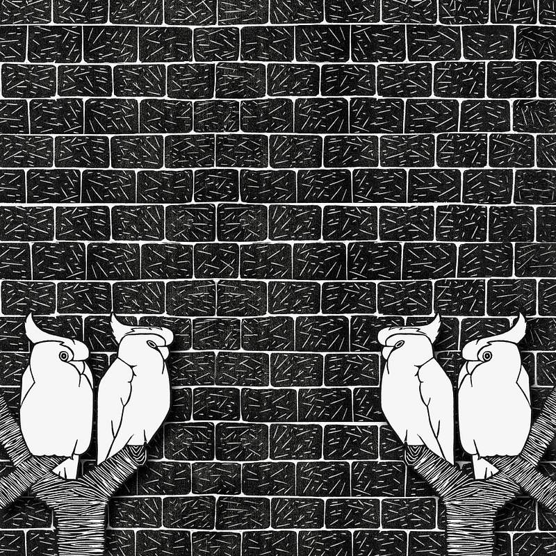 Black Cockatoo Images Free Vectors Pngs Mockups And Backgrounds Rawpixel