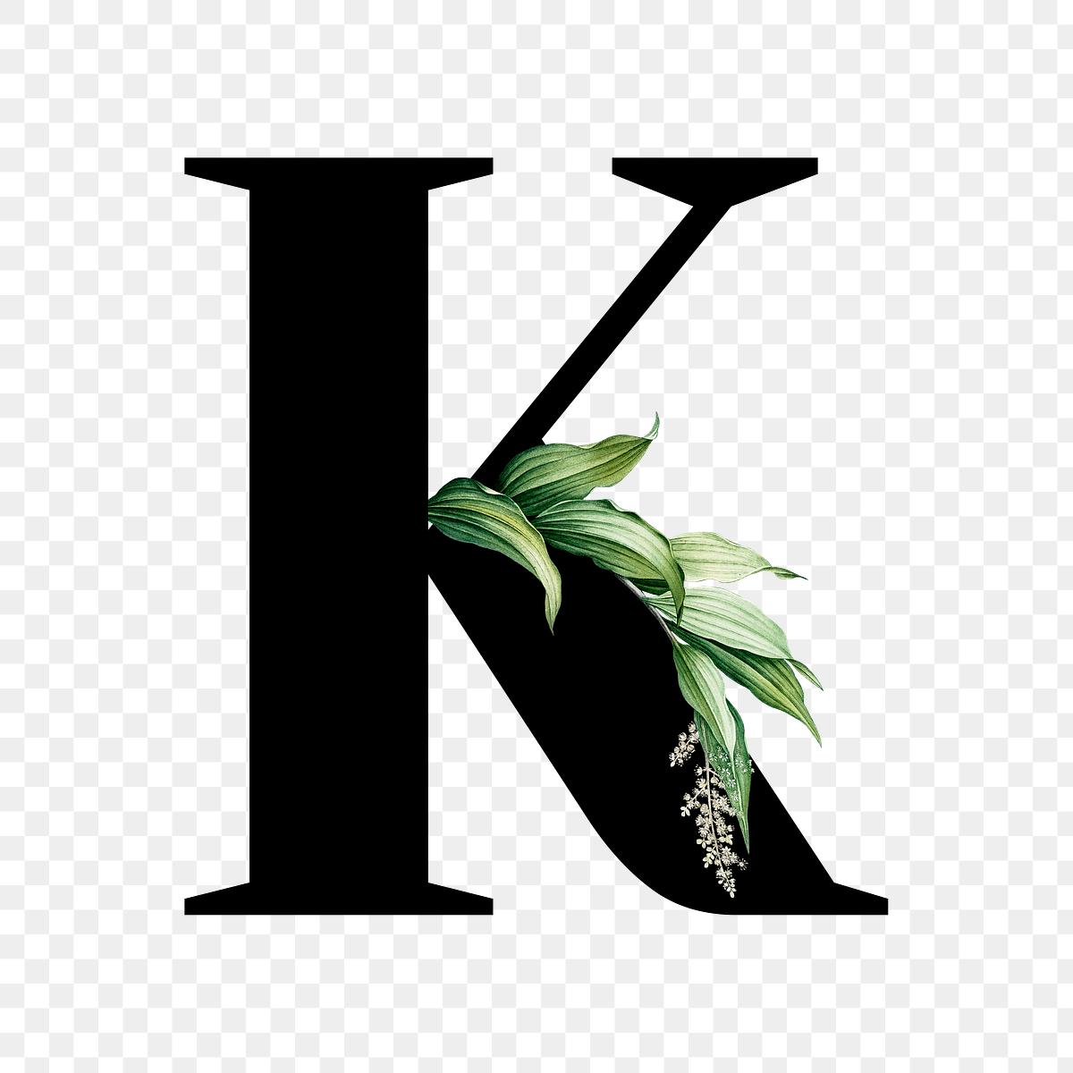 Botanical Font Letter K Royalty Free Stock Illustration 584898 botanical-font-letter-k-royalty-free-stock-illustration-584898