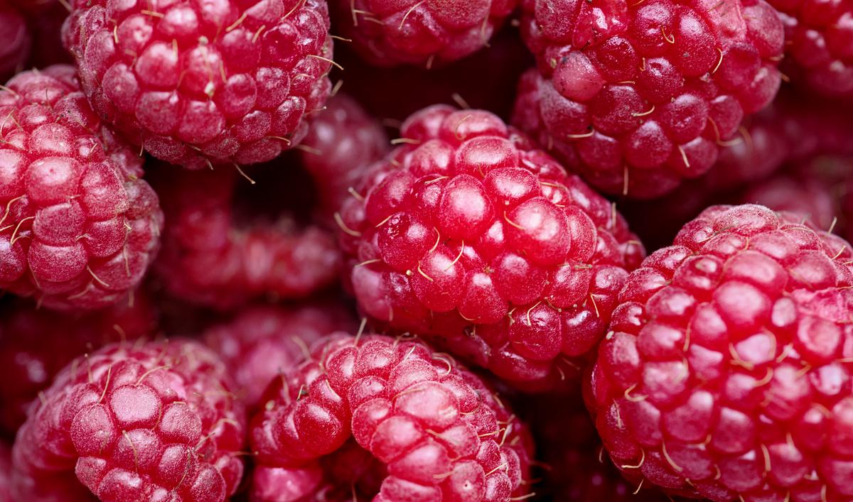 Macro Shot Of Red Raspberry Background Free Stock Photo 392220 macro-shot-of-red-raspberry-background-free-stock-photo-392220