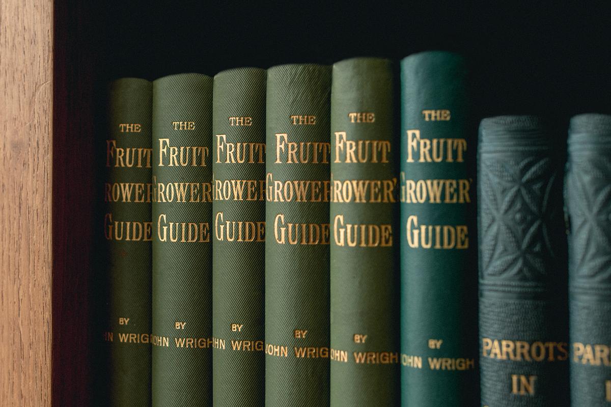 Antique Books On A Shelf Free Photo Rawpixel antique-books-on-a-shelf-free-photo-rawpixel