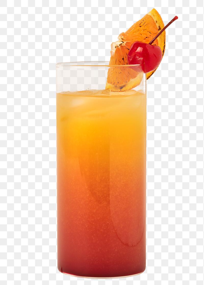 Tropical Beach Party Cocktail Illustration Free Vector 463808