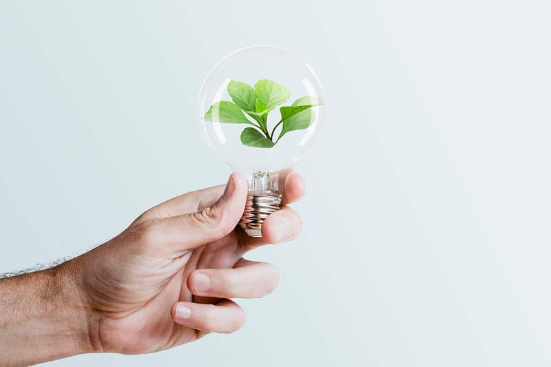 Sustainability Images | Free HD Backgrounds, PNGs, Vectors & Templates ... Sustainability Images | Free HD Backgrounds, PNGs, Vectors & Templates ...
