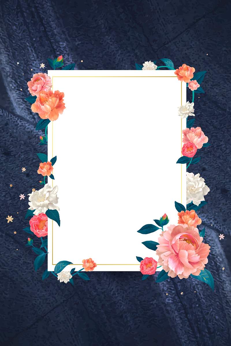 Brochure Border Images | Free Photos, Png Stickers, Wallpapers